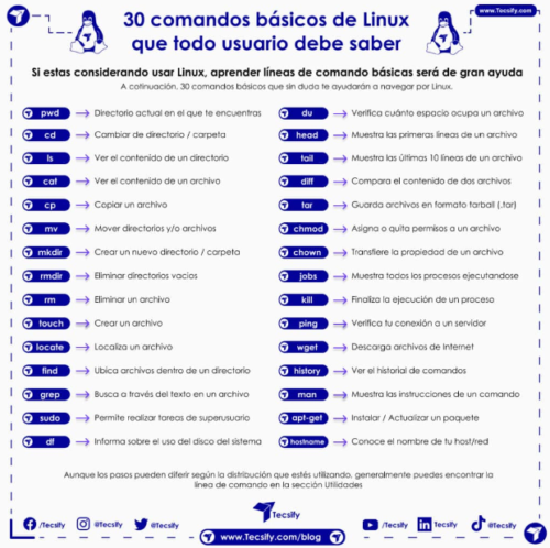 Programación. Todo lo que necesitas saber.